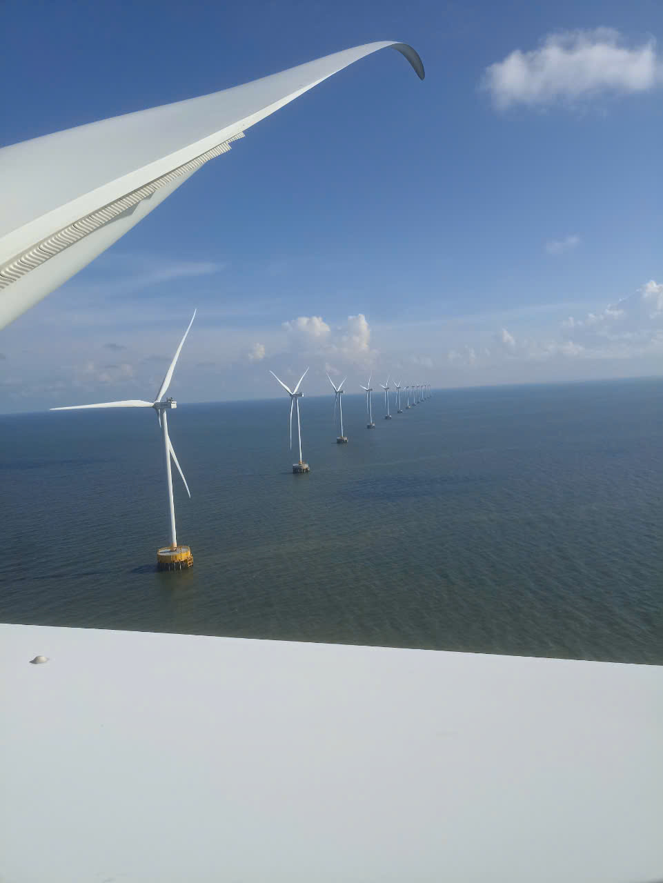 WE ARE HIRING !!! |TRAINER ASSISTANT - WIND ENERGY SECTOR| - Safetech